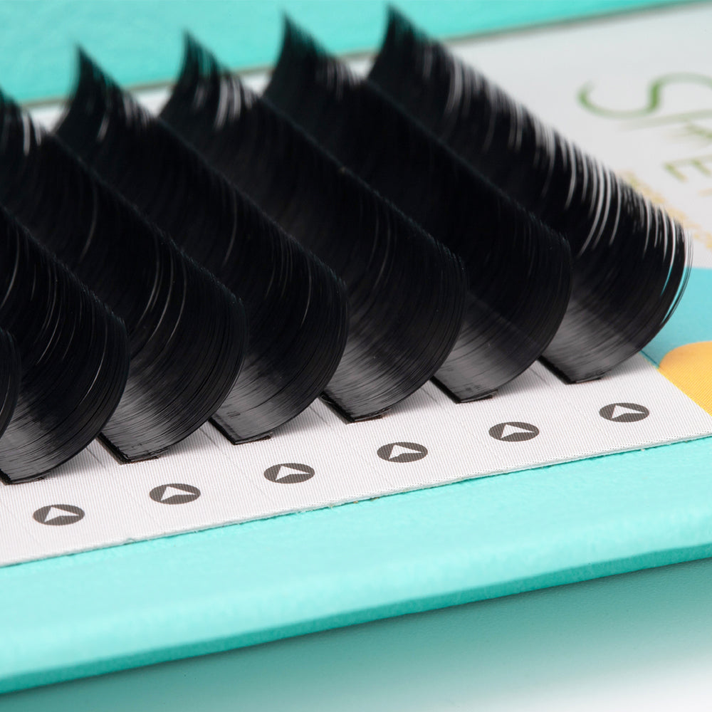Classic Lashes Tray – speyelashes