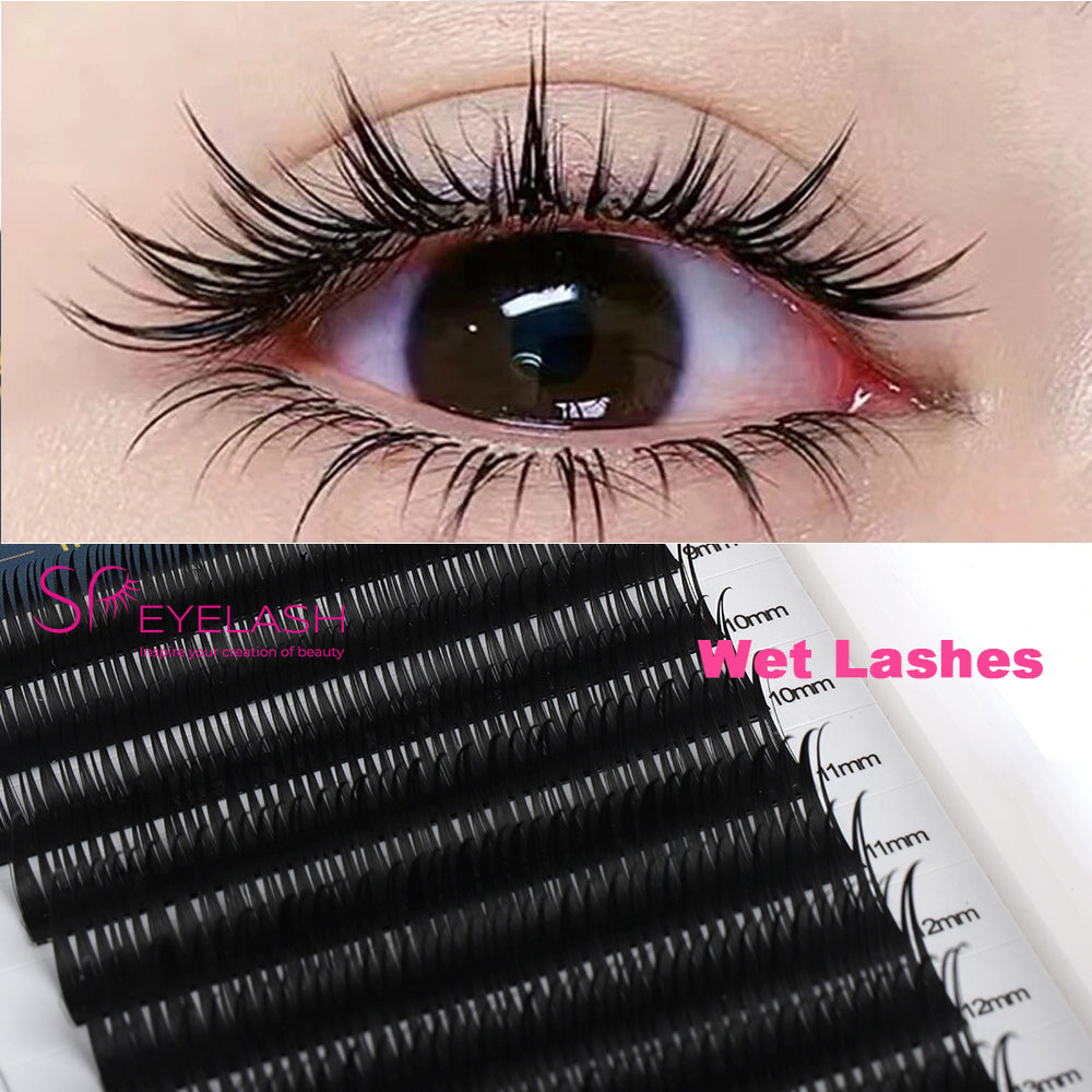 Wet Eyelash Extensions – speyelashes